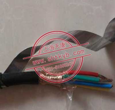 WDZN-KYJYP2-22控制电缆