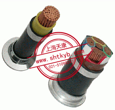 ZR-VV铜芯阻燃电力电缆